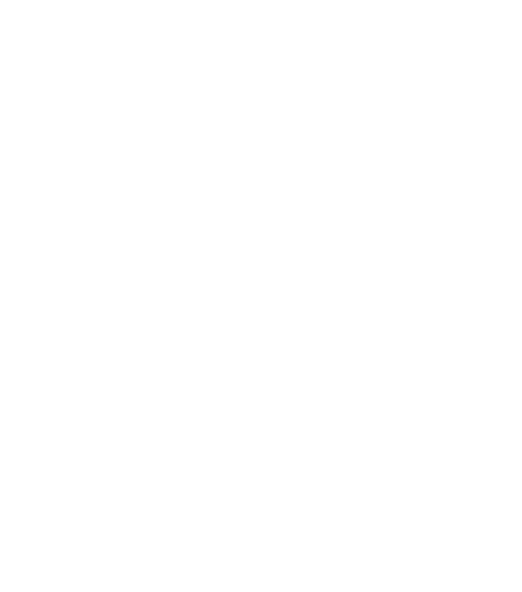 Pentana Solutions DocusSmart Archive | Pentana Solutions | Innovative ...